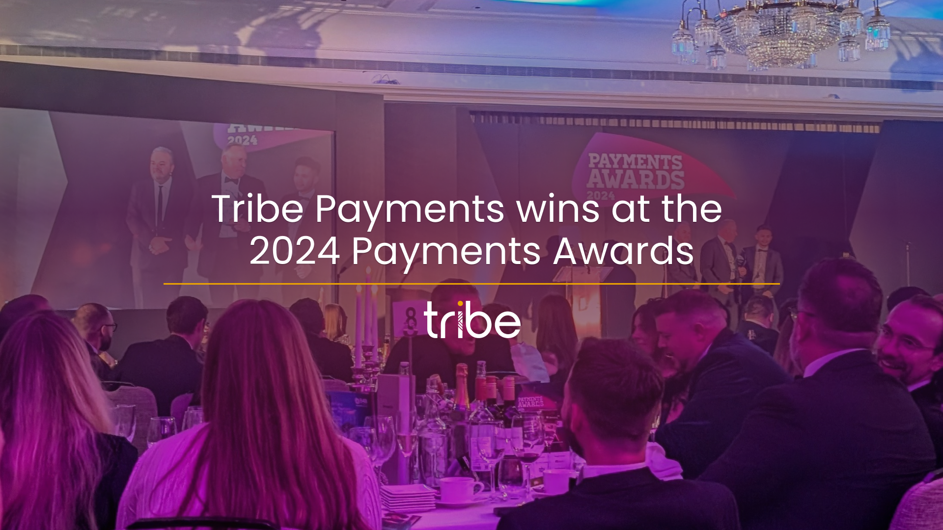 Tribe Payments Wins at the 2024 Payments Awards